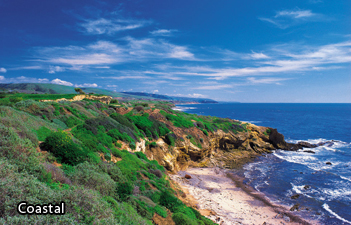 Coastal Sector - Good Planning