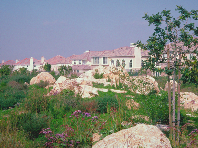 Newport Ridge - Good Planning