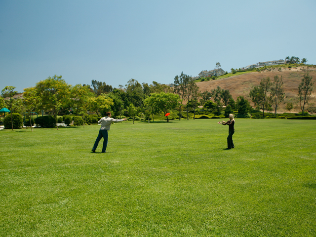 Turtle Rock - Good Planning